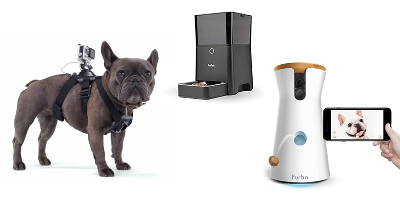10 Creative Smart Devices for Pet Owners in 2020 - GeeksFL
